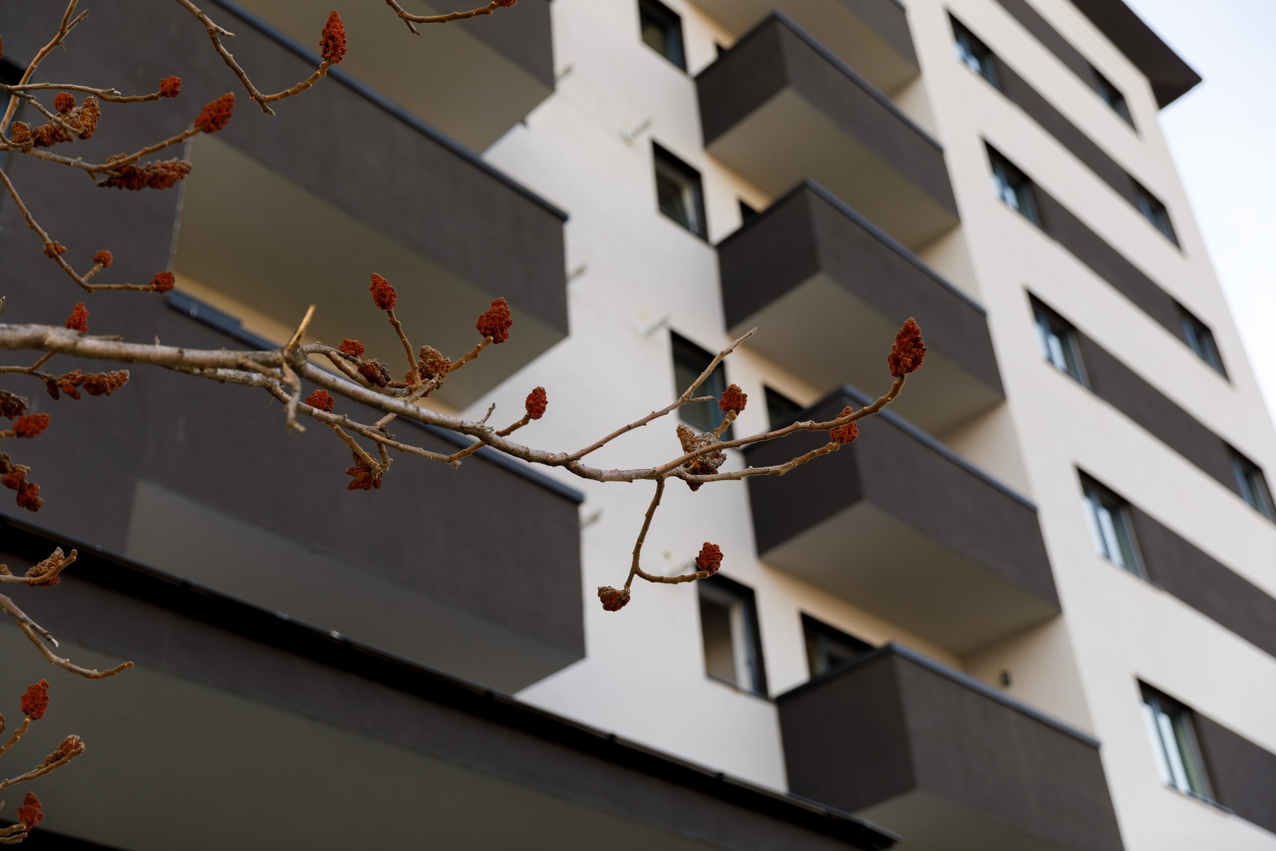 Galerie ROMANA - Soho Brasov | Casa perfecta pentru familia ta!
